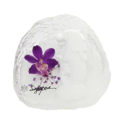 Souvenirs | iShopChangi