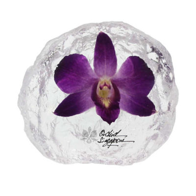 Souvenirs | iShopChangi