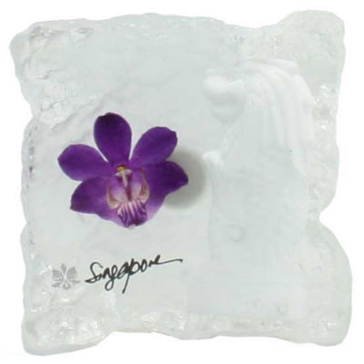 Buy SINGAPORE PRESERVED ORCHID MAGNET - SQUARE WITH MERLION DESIGN ...
