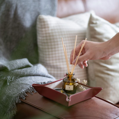 Japanese Ryokan Reed Diffuser 180ml | iShopChangi