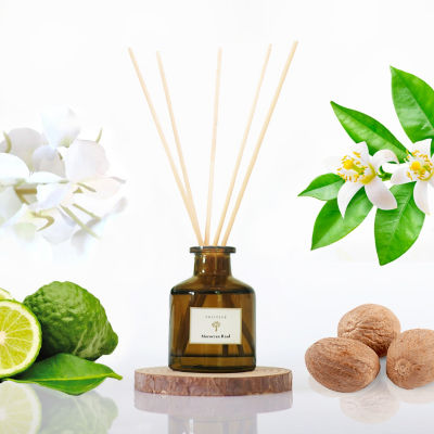Moroccan Riad Reed Diffuser | iShopChangi