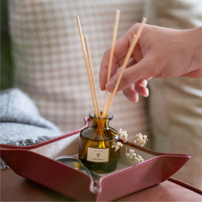 Casa Particular Reed Diffuser | iShopChangi