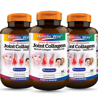 Buy [Bundle of 3] Holistic Way High Strength Joint Collagen with ...