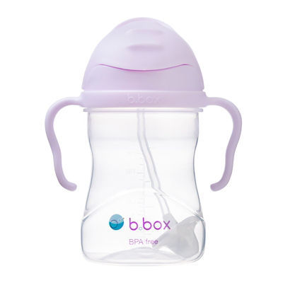 Buy B.Box Sippy Cup 8oz Online in Singapore | iShopChangi